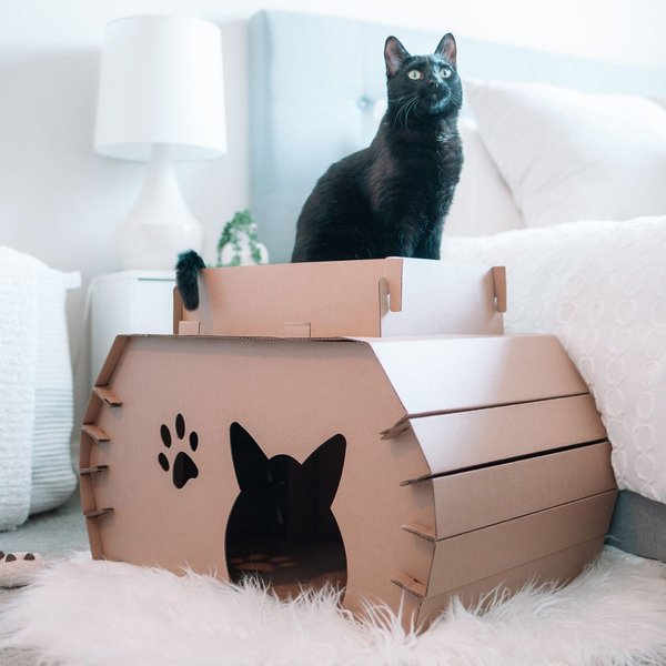 CARLSON PET PRODUCTS Cat Camper & Scratcher - Chewy.com