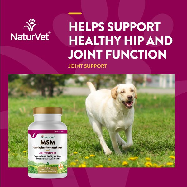 NATURVET MSM Chewable Tablets Joint Supplement for Dogs, 250 count ...