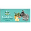 OXBOW Enriched Life Apple Twig Tree Small Pet Toy - Chewy.com