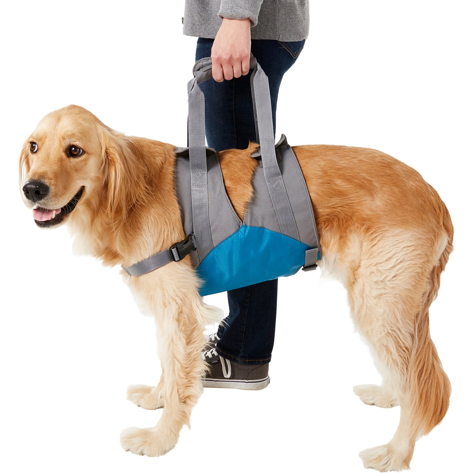 KURGO Up & About Lifter Handicapped Support Dog Harness - Chewy.com