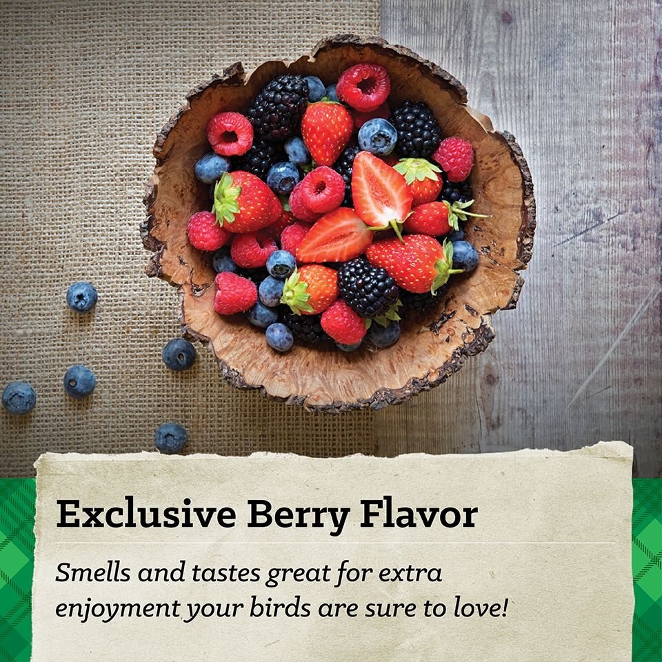 NUTRENA Hi Pro Chicken 12% Protein Scratch Grains & Protein Pellets, 7 ...