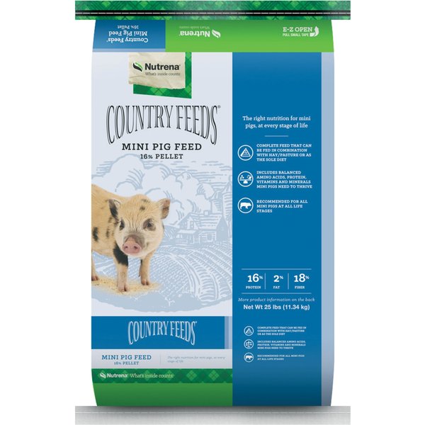 MAZURI Mini Pig Active Adult Food, 50-lb bag - Chewy.com
