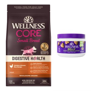 WELLNESS CORE Digestive Health Wholesome Grains Chicken & Brown Rice ...