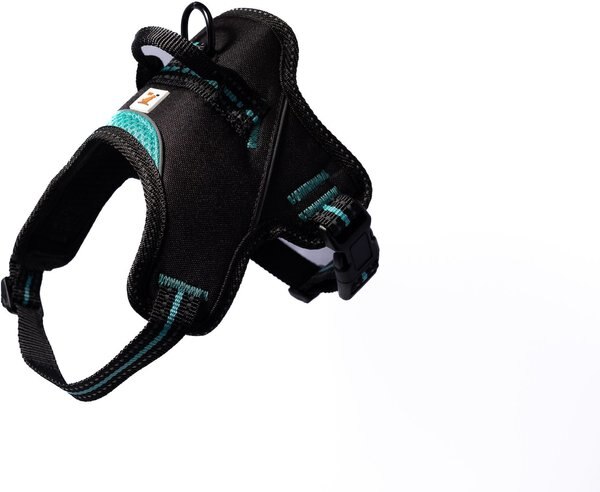 DOGGY TALES Patented Hart Dog Harness, Turquoise, 50 - Chewy.com