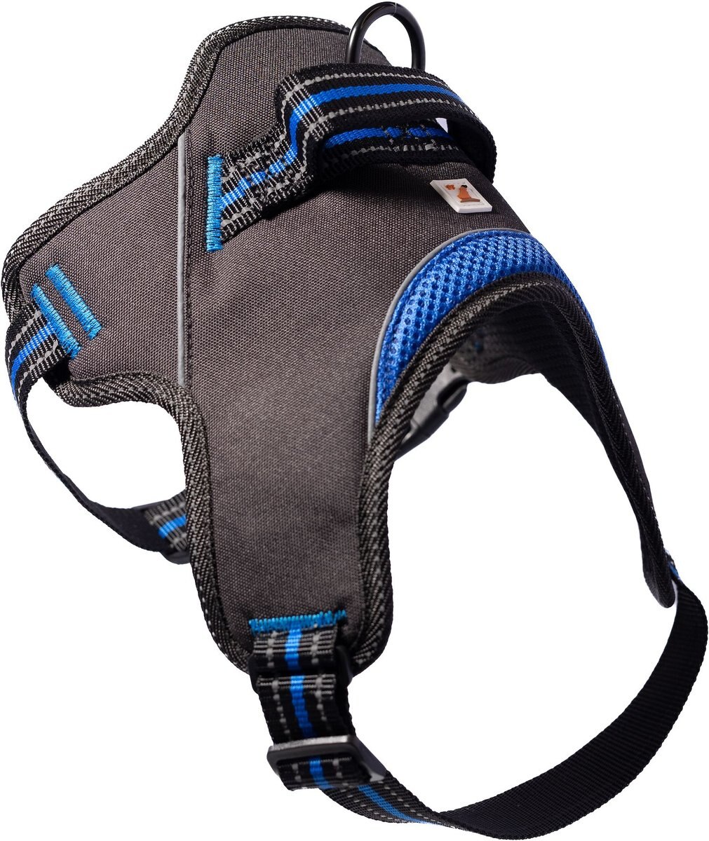 DOGGY TALES Patented Hart Dog Harness, Navy, 35 - Chewy.com