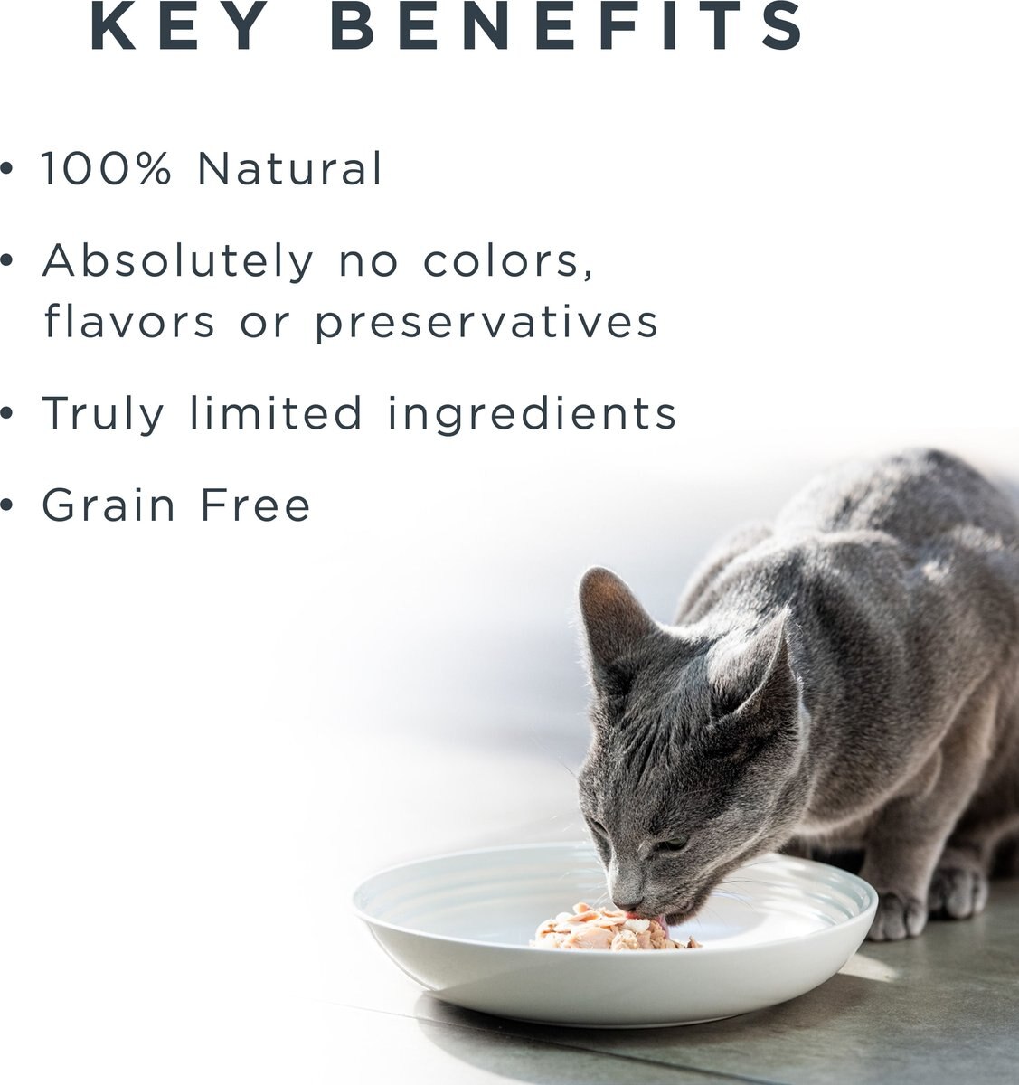 REVEAL Natural Grain-Free Variety of Fish in Broth Flavored Wet Cat ...