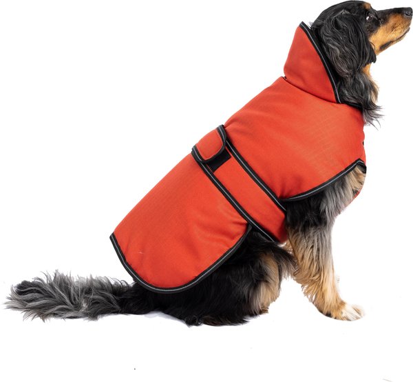 Out of Stock - PETRAGEOUS DESIGNS Juneau Insulated Dog Jacket, Red ...