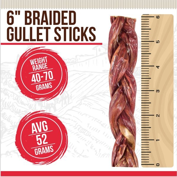 BEST DOG CHEWS Braided Gullet Beef Flavored 6-in Dog Chews, 3 count ...