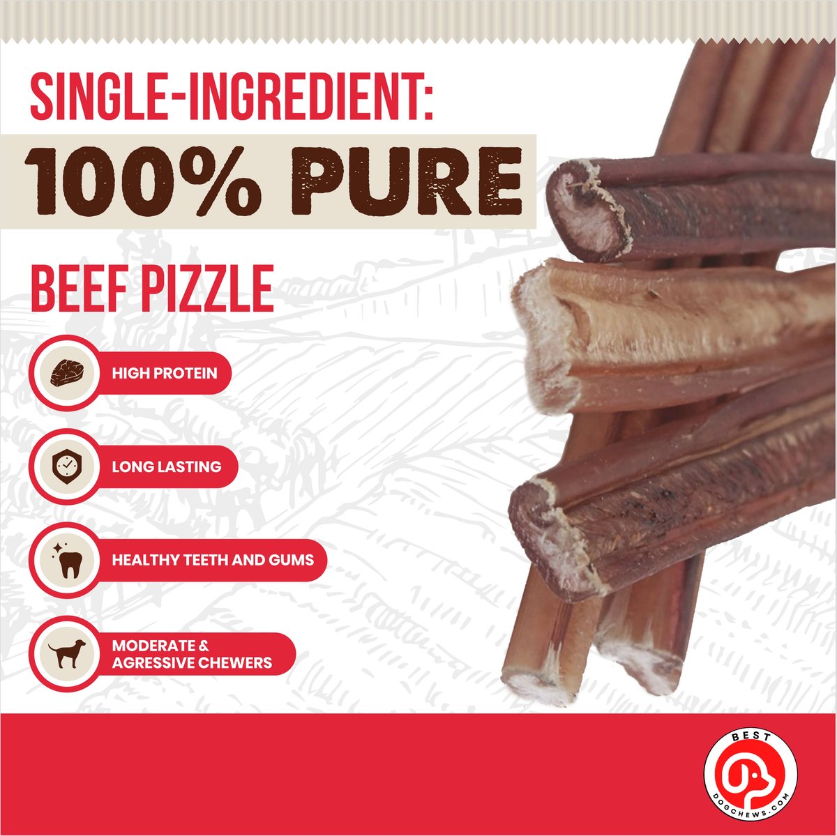 BEST DOG CHEWS Standard 12-in Bully Sticks Dog Treats, 12 count - Chewy.com