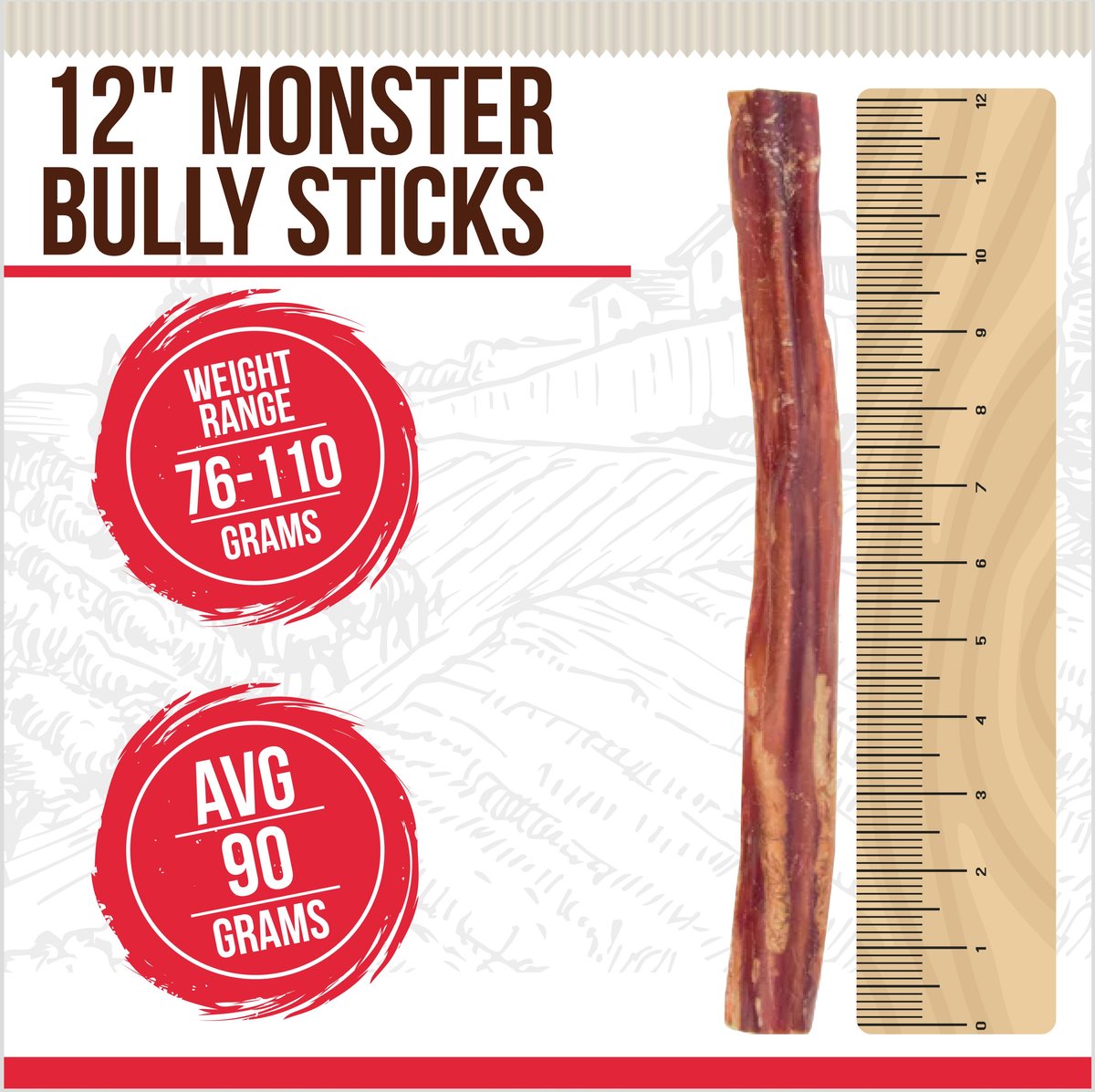 BEST DOG CHEWS Monster 12-in Bully Sticks Dog Treats, 3 count - Chewy.com