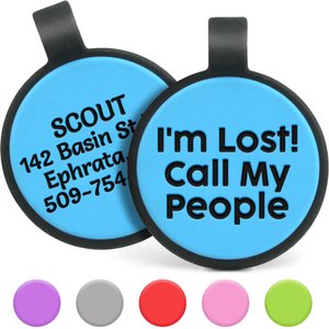 Out of Stock - GoTags Stainless Steel Slide-On Personalized Dog & Cat ...