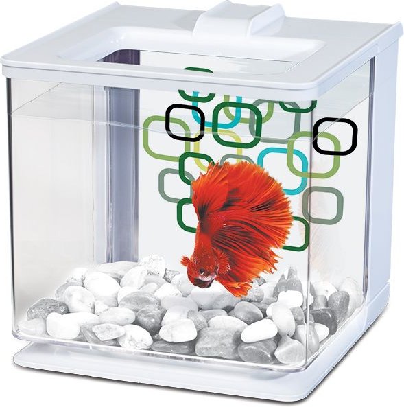 MARINA EZ Care Fish Aquarium, White - Chewy.com