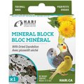 Bird Food Block (Free Shipping) | Chewy