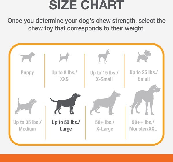 NYLABONE Power Chew Broccoli Dog Toy Bacon Cheese, Large - Chewy.com