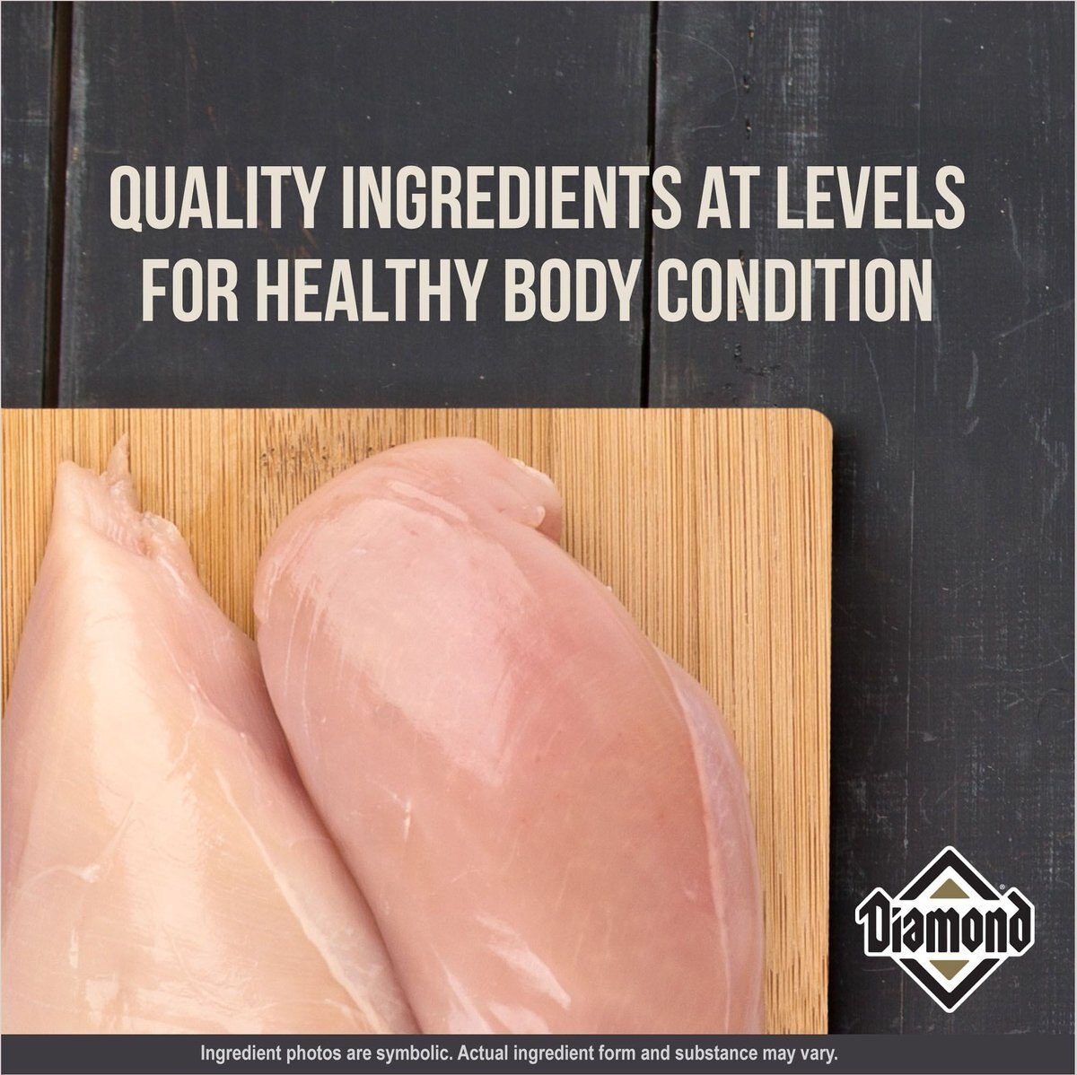 DIAMOND Performance Formula Adult Dry Dog Food, 40-lb bag, bundle of 2 ...