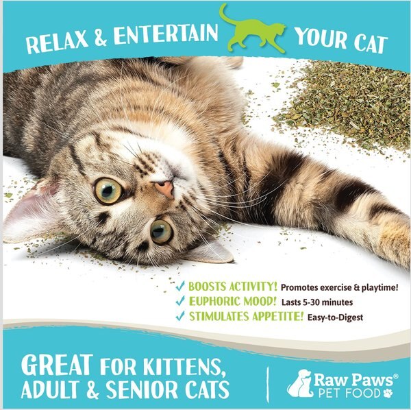 RAW PAWS All-Natural Loose Leaf Cut Catnip for Cats, 1-oz jar - Chewy.com