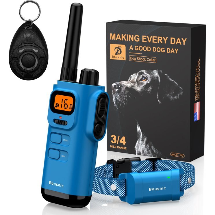 Dog Training & Tech Collars - Free shipping | Chewy