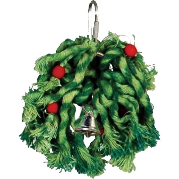A&E CAGE COMPANY Rainbow Cotton Rope Boing Bird Toy - Chewy.com