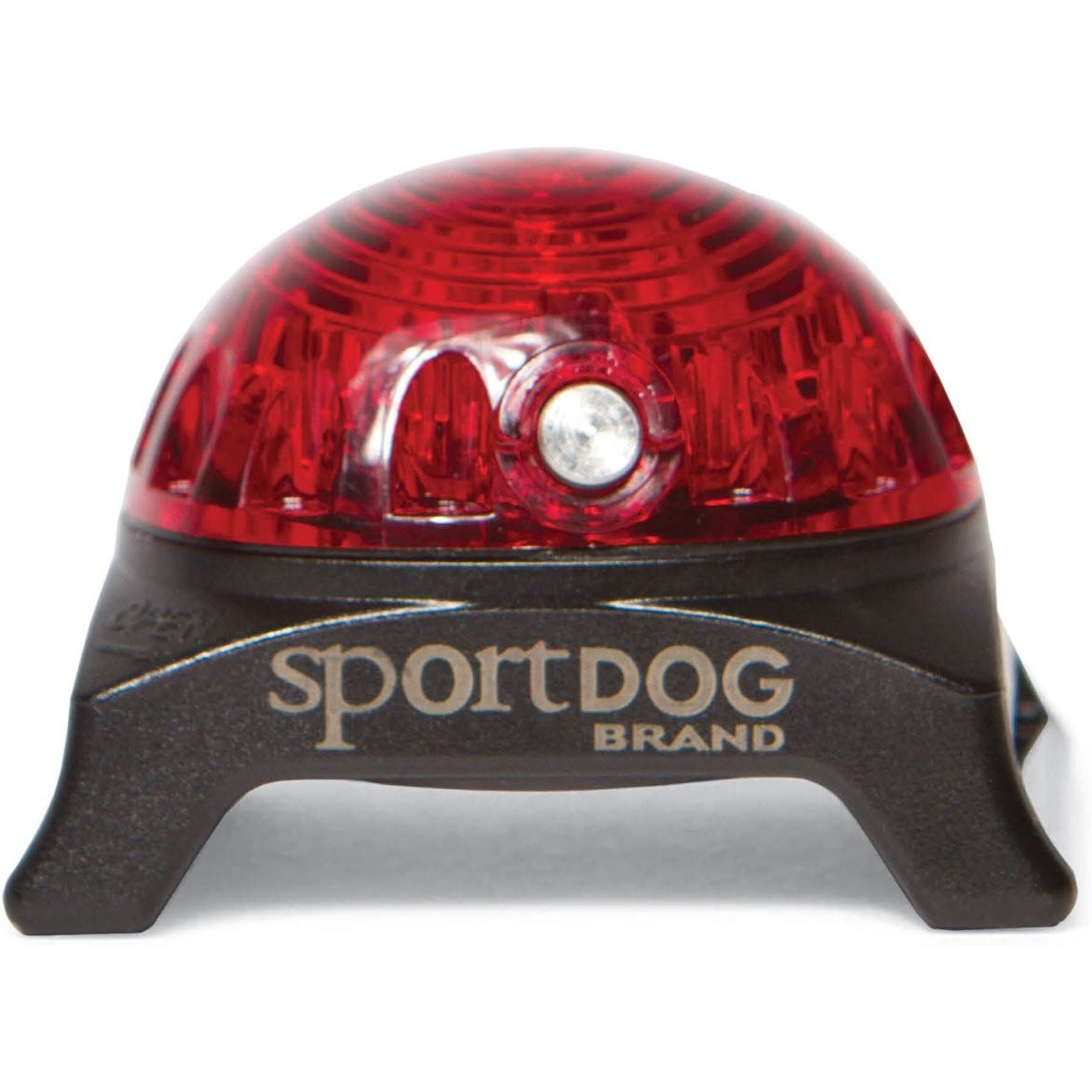 SPORTDOG Locator Beacon for Dog Collars, Red - Chewy.com