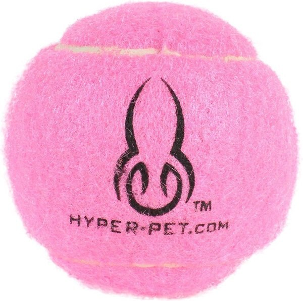 HYPER PET 4 Pack of Balls for Dogs, Pink, Regular - Chewy.com