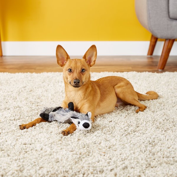 Discontinued - HYPER PET Raccoon Critter Skinz Dog Toy, Medium - Chewy.com