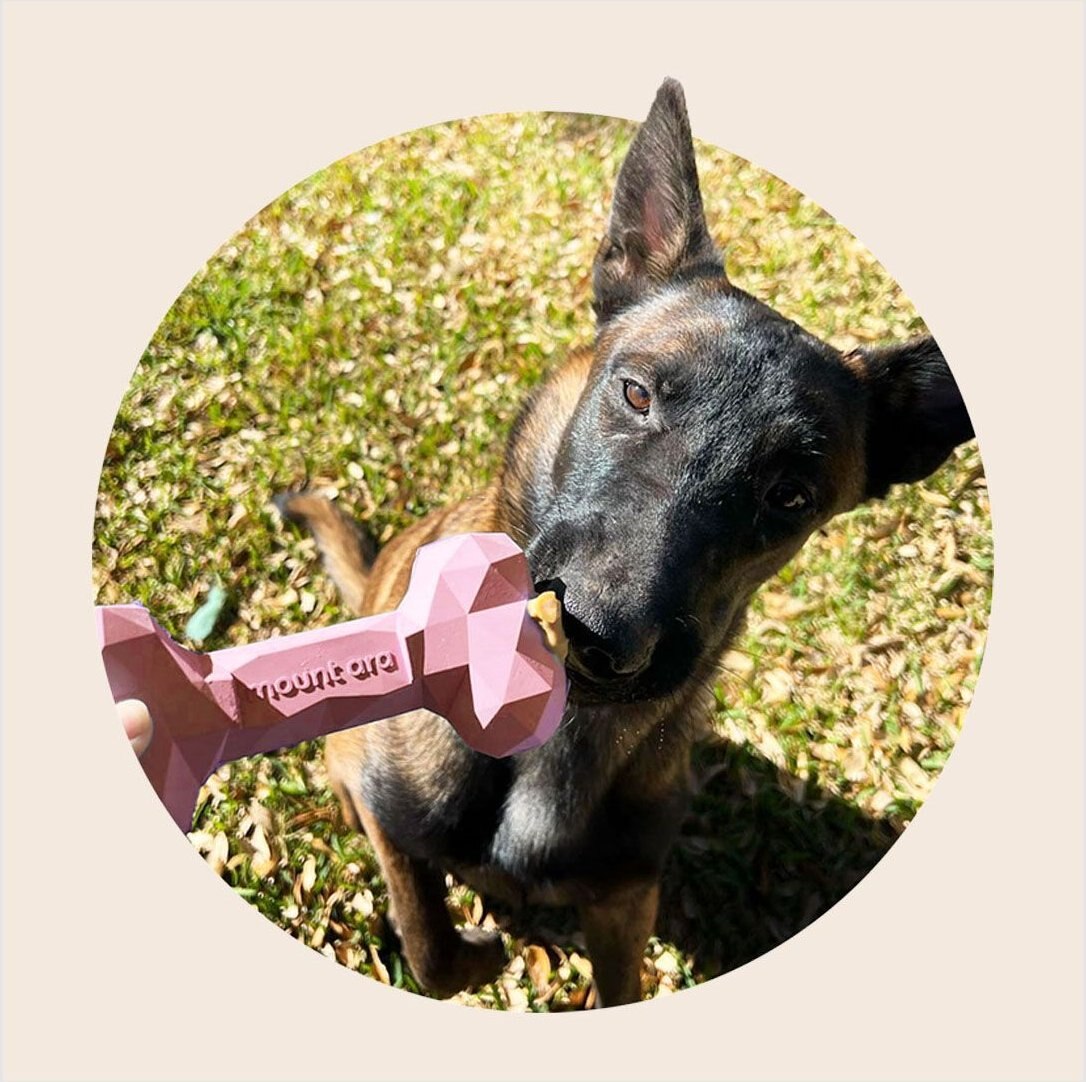 MOUNT ARA Superbite Dog Toy, 2 count - Chewy.com