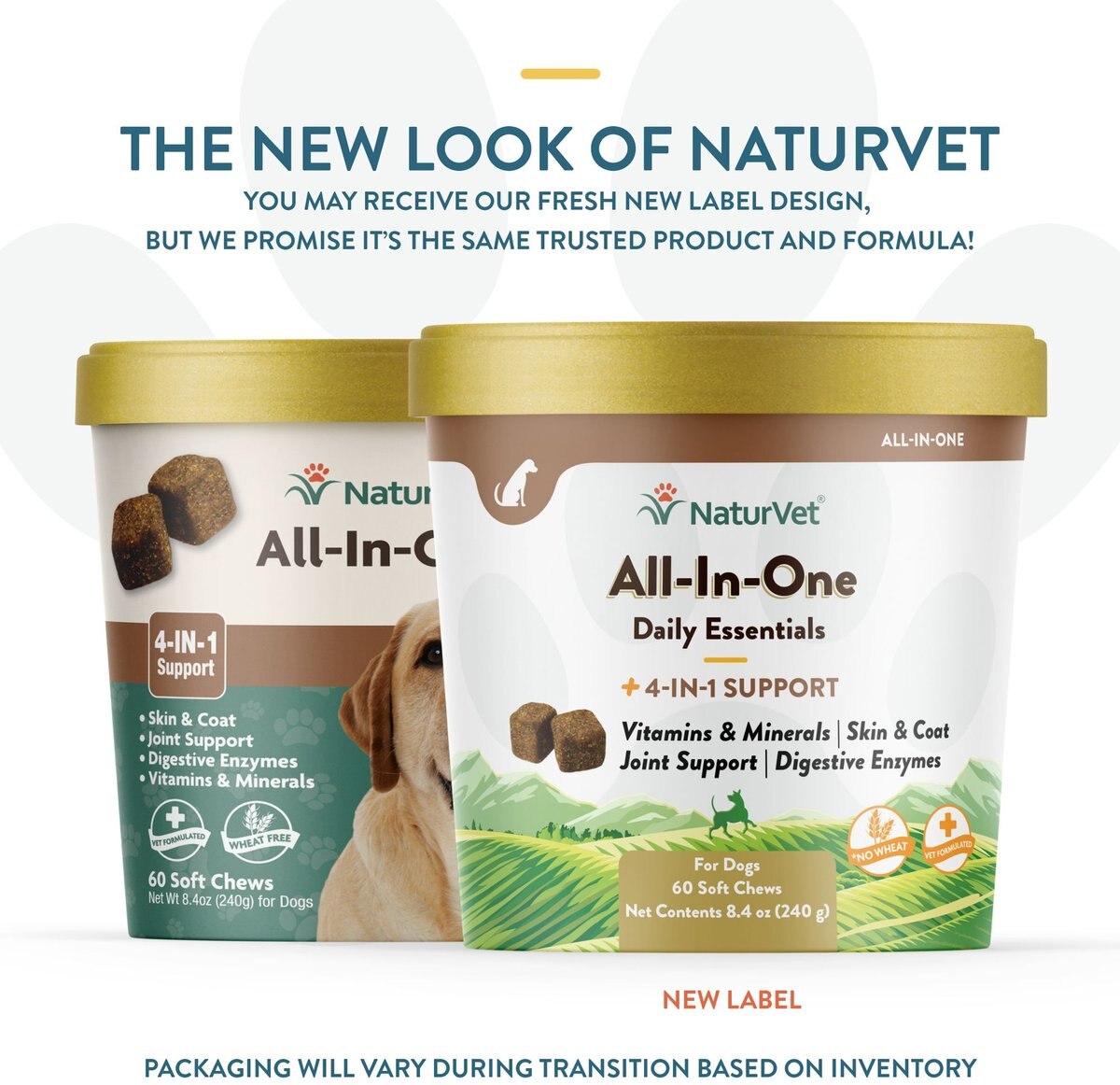 NATURVET All-in-One Soft Chews Multivitamin for Dogs, 60 count - Chewy.com