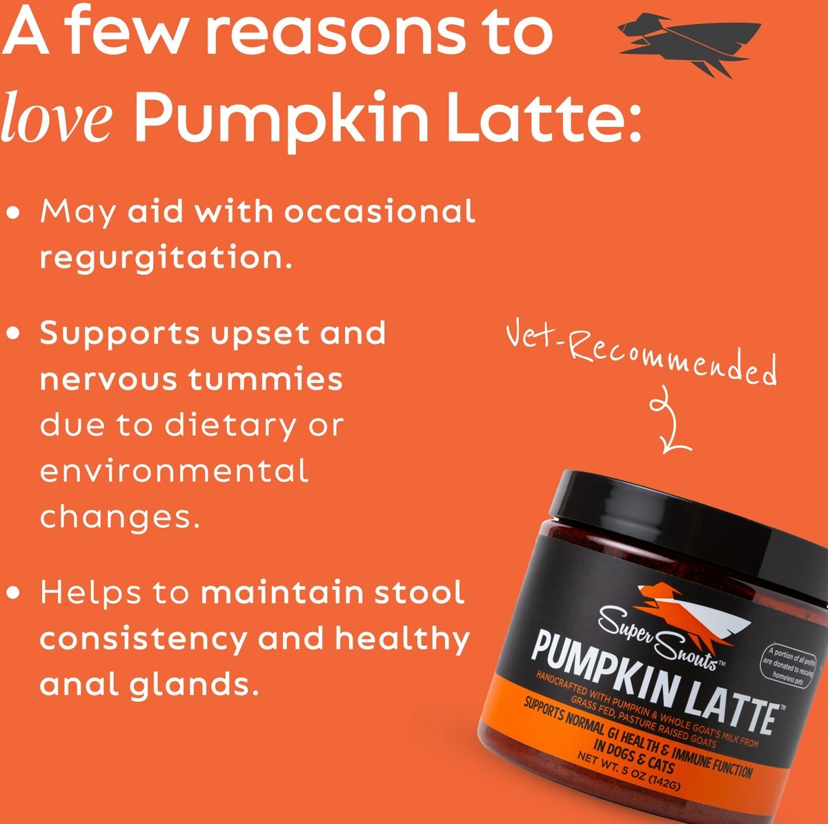 SUPER SNOUTS Pumpkin Latte Dog & Cat Digestive Supplement, 5-oz jar ...