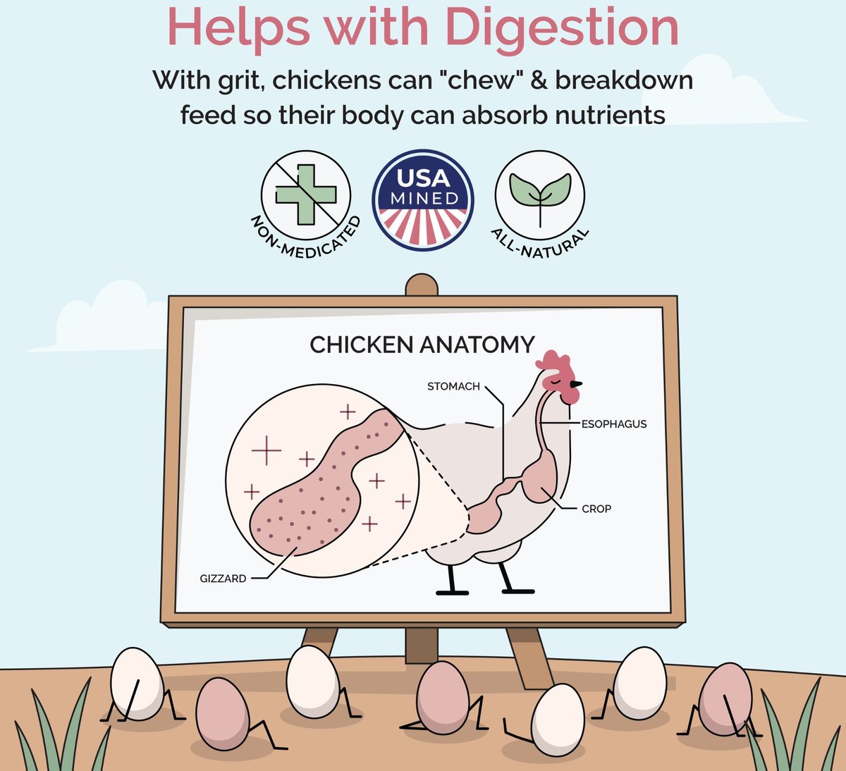 MILE FOUR Starter Chick Grit Digestive Supplement for Chickens, 50-lb ...