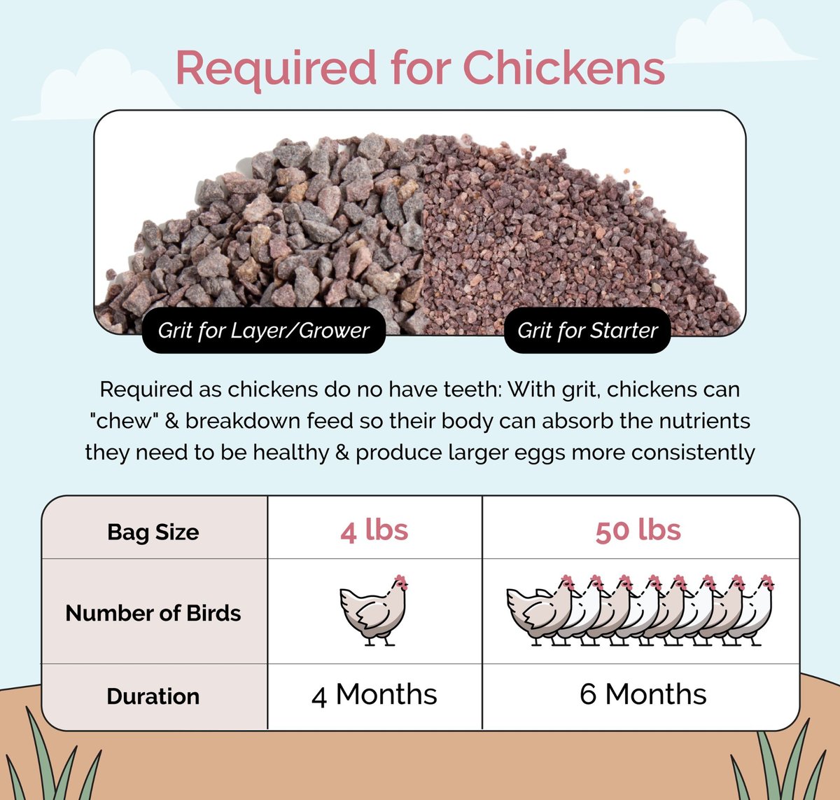 MILE FOUR Starter Chick Grit Digestive Supplement for Chickens, 50-lb ...