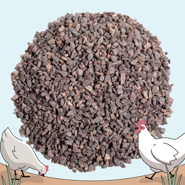 MILE FOUR Starter Chick Grit Digestive Supplement for Chickens, 50-lb ...