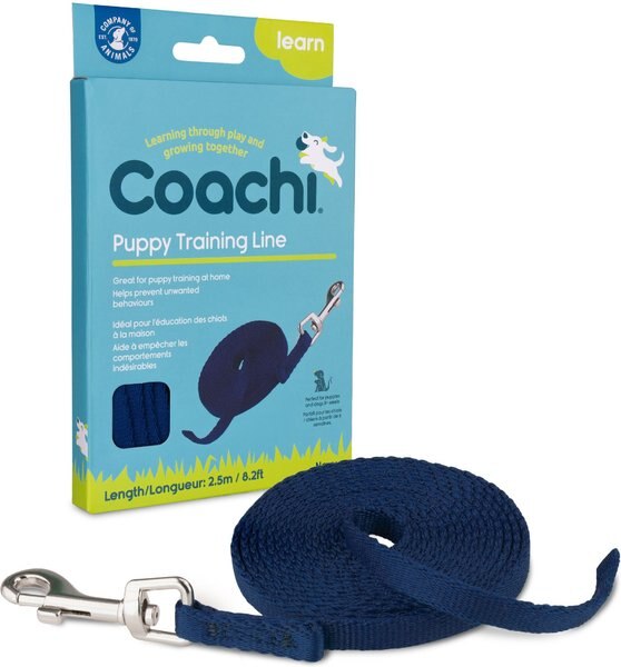 COACHI Puppy Training Dog Leash, Navy - Chewy.com