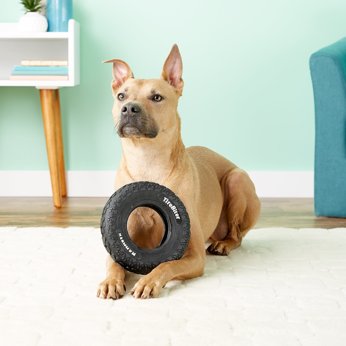 MAMMOTH TireBiter Tire Dog Toy, Large - Chewy.com
