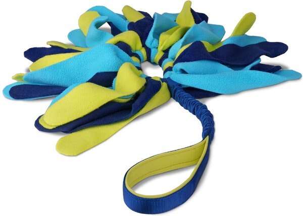 COACHI Tuggi Spider Dog Dummy, Navy - Chewy.com