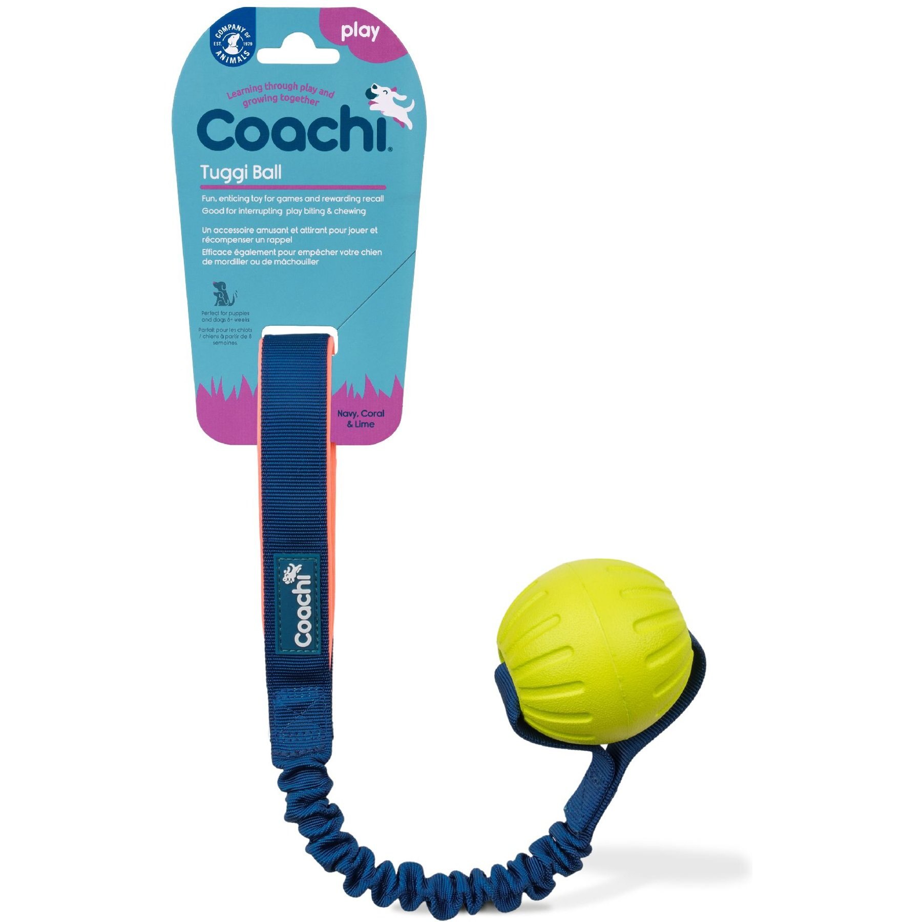 COACHI Tuggi Ball Dog Dummy, Navy - Chewy.com