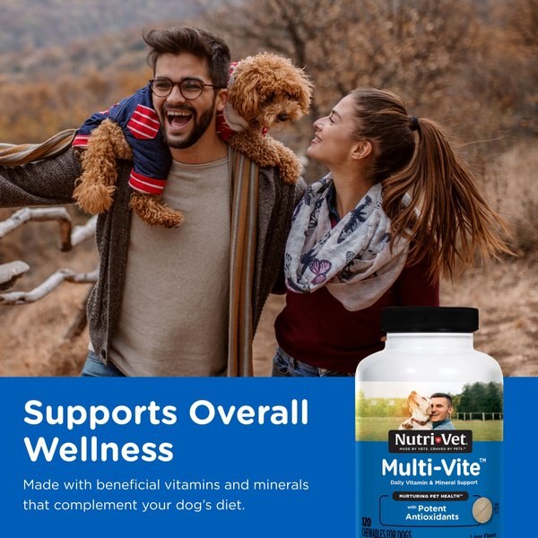 NUTRI-VET Multi-Vite Chewable Tablets Multivitamin for Dogs, 120 count ...