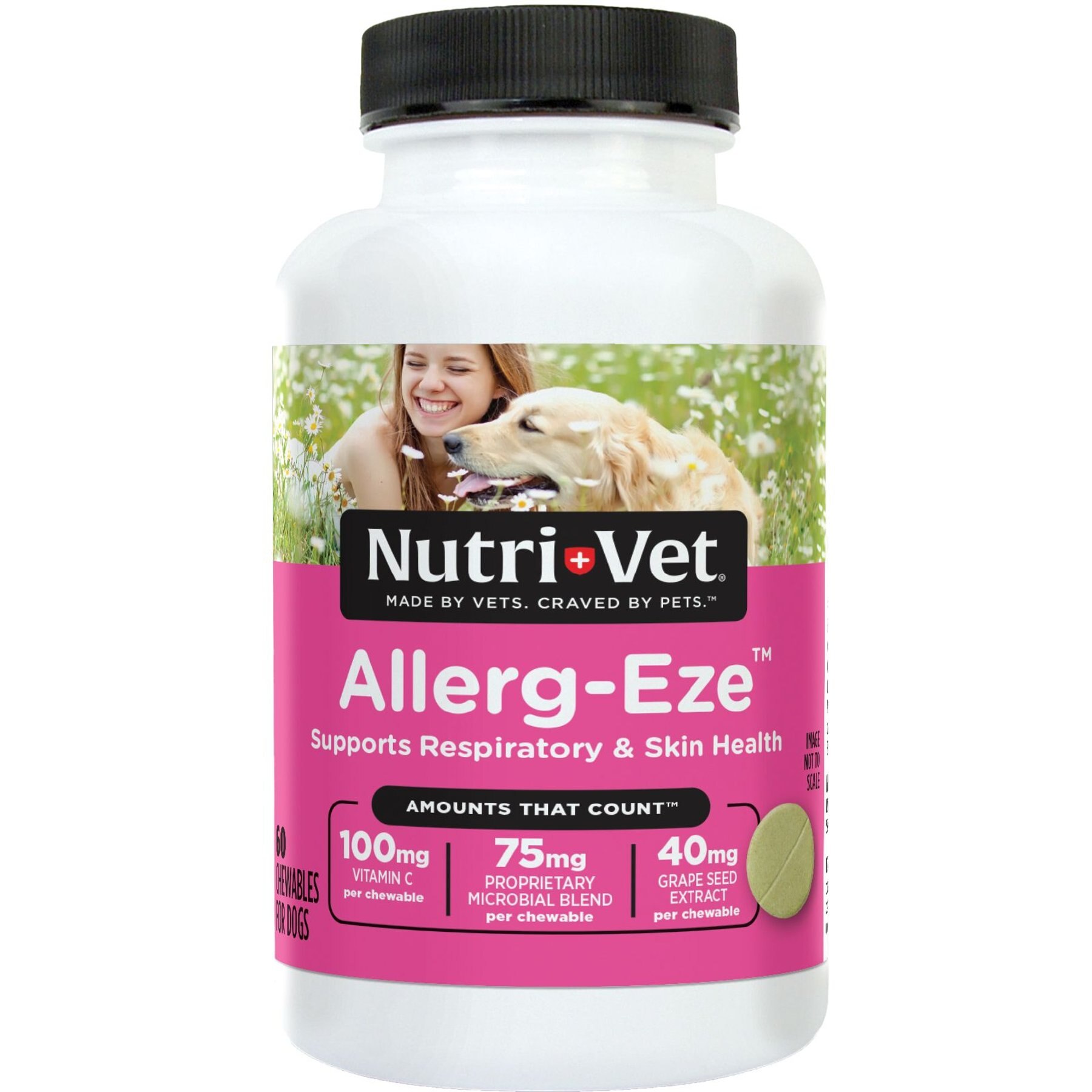 NUTRI-VET Allerg-Eze Chewable Tablets Respiratory Supplement for Dogs ...