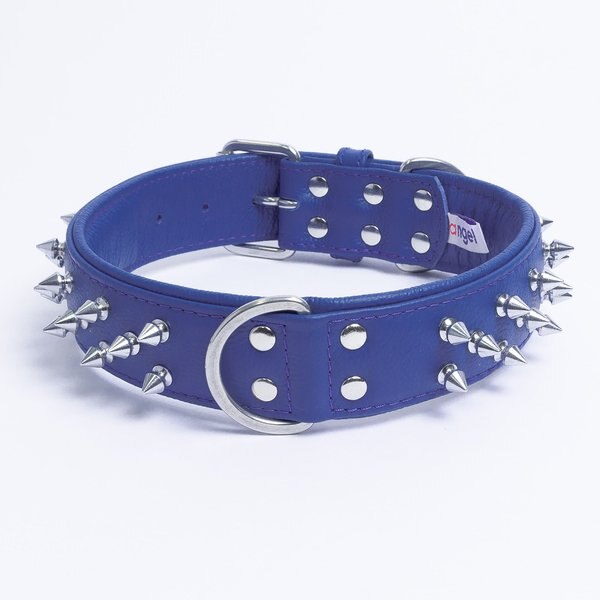 ANGEL Rotterdam Bones Standard Dog Collar, Blue, 22 x 1-in - Chewy.com