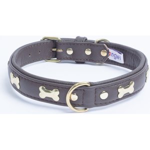 ANGEL Amsterdam Multi-line Spiked Standard Dog Collar, Brown, 22 x 1.5 ...