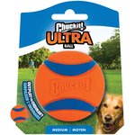 CHUCKIT! Ultra Fetch Stick Dog Toy - Chewy.com