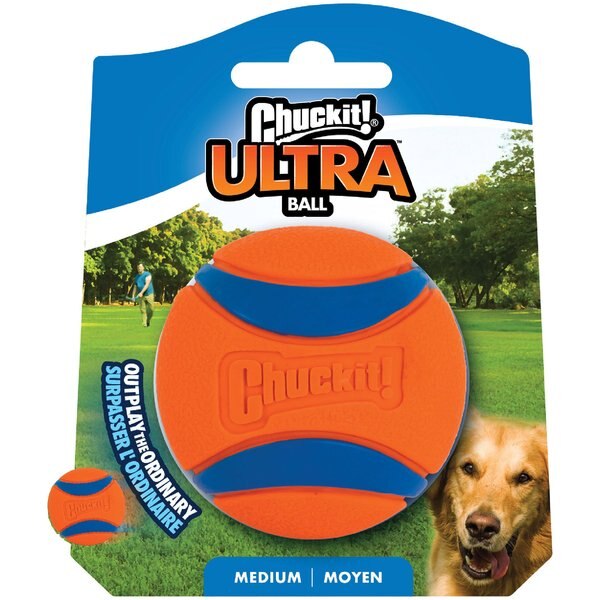 CHUCKIT! Ultra Fetch Stick Dog Toy - Chewy.com