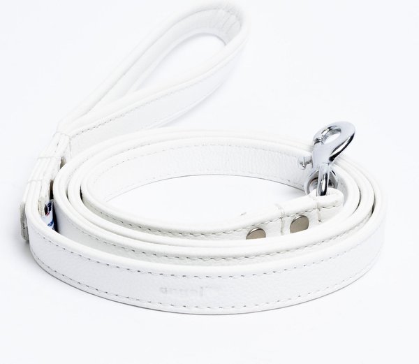 ANGEL Alpine Padded Leather Dog Leash, White, 72 x 3/4-in - Chewy.com