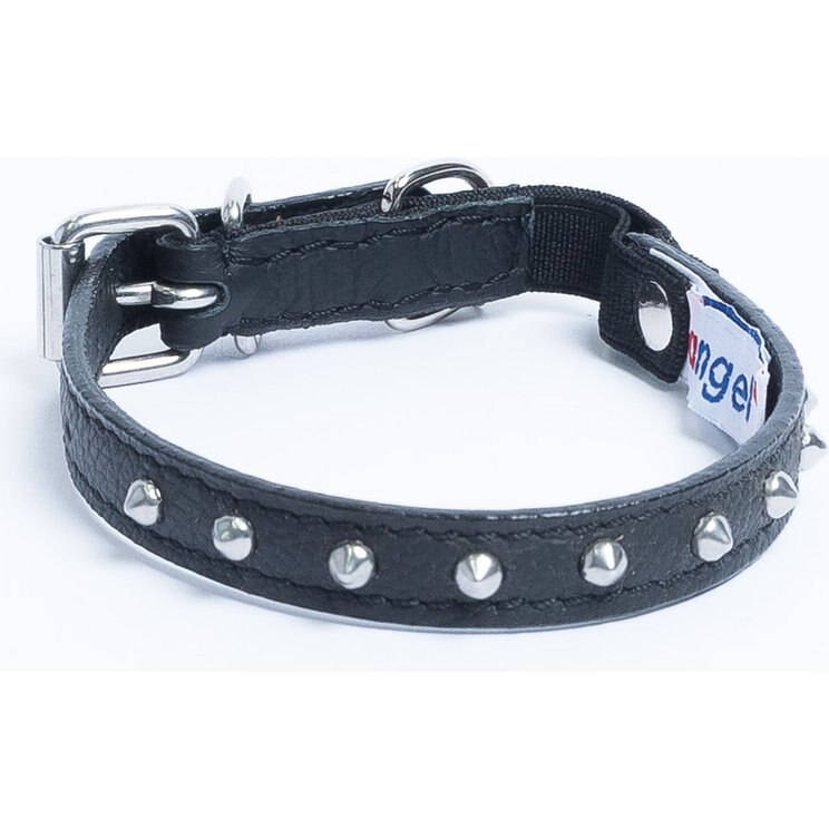 Cat Collars: Small to Large Cats (Free Shipping) | Chewy