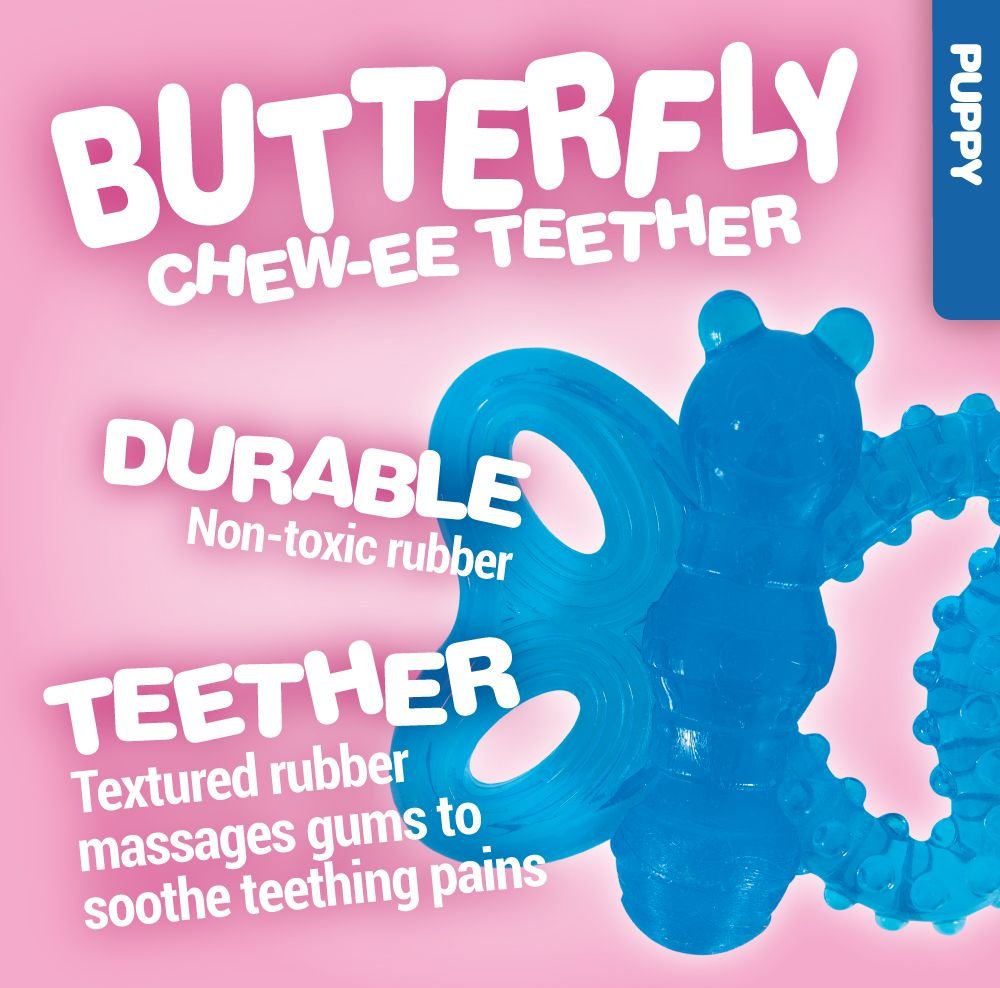 JW PET Play Place Butterfly Puppy Teether, Color Varies - Chewy.com