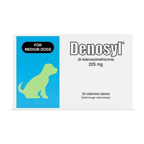 Questions and Answers about NUTRAMAX Denosyl Tablets Liver & Brain ...