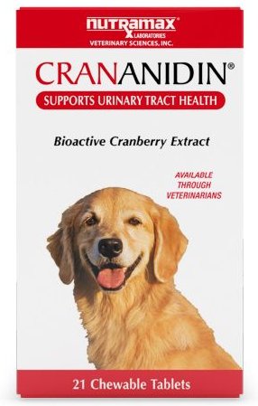 Discontinued - NUTRAMAX Crananidin Chewable Tablets Urinary Supplement ...