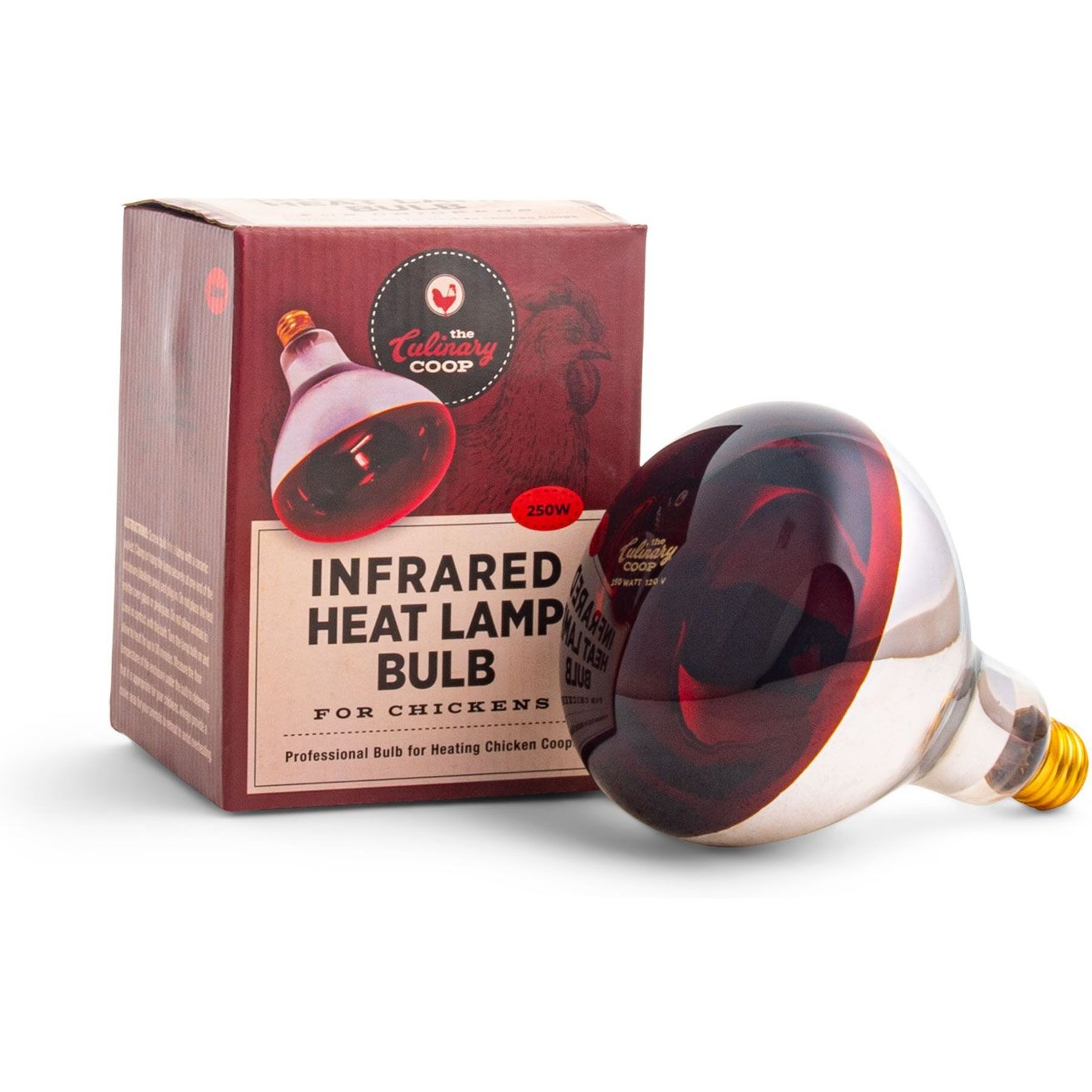 CULINARY COOP Infrared Chicken Heat Lamp, 250-watt - Chewy.com