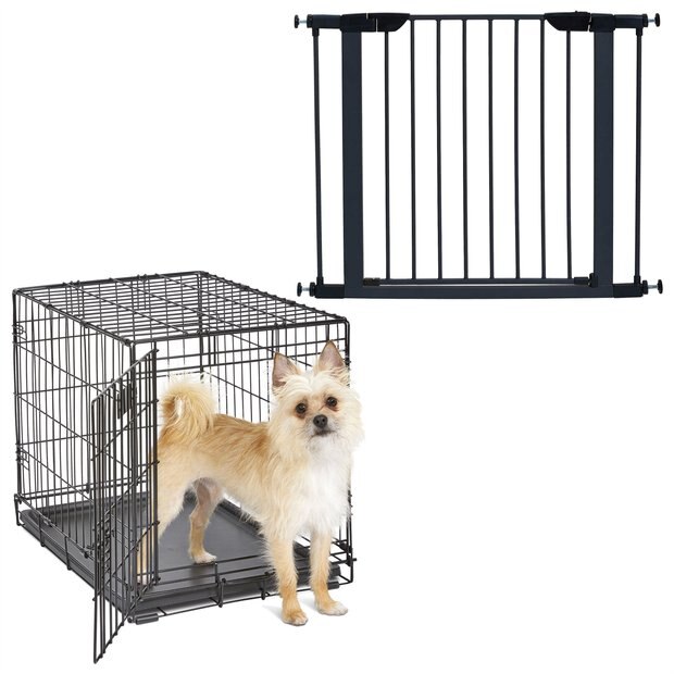 Dog Crates & Kennels - Page 9 (Free Shipping) | Chewy
