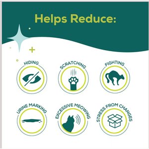 10 Best Cat Calming Pheromone Diffusers 2024: According to Reviews | Chewy