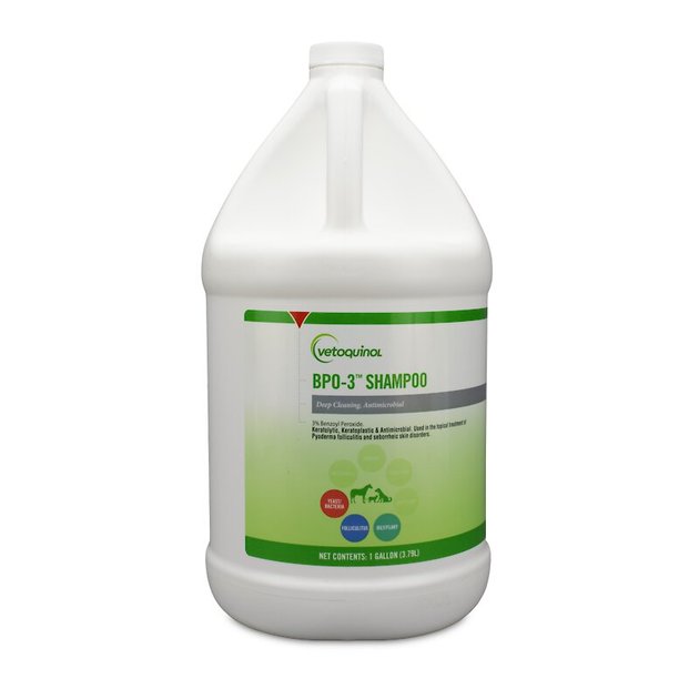 VETOQUINOL BPO-3 Shampoo for Dogs & Cats, 1-gal bottle - Chewy.com